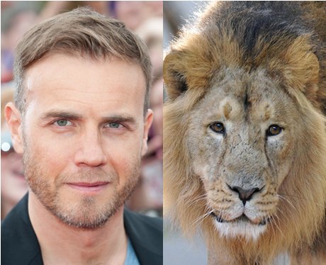 Celebrity Look Alike Animals